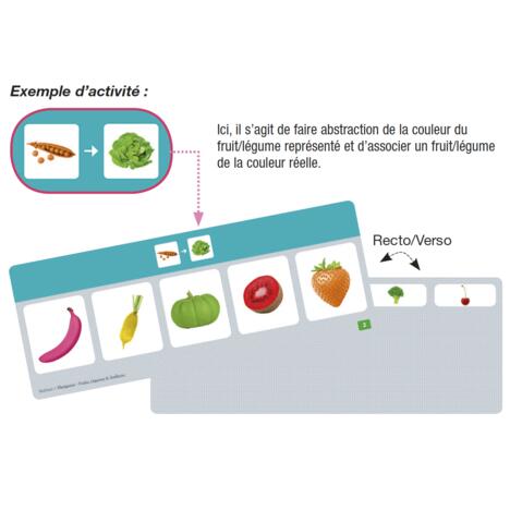 80429 - FLEXIGAME - FRUITS, LÉGUMES & COULEURS